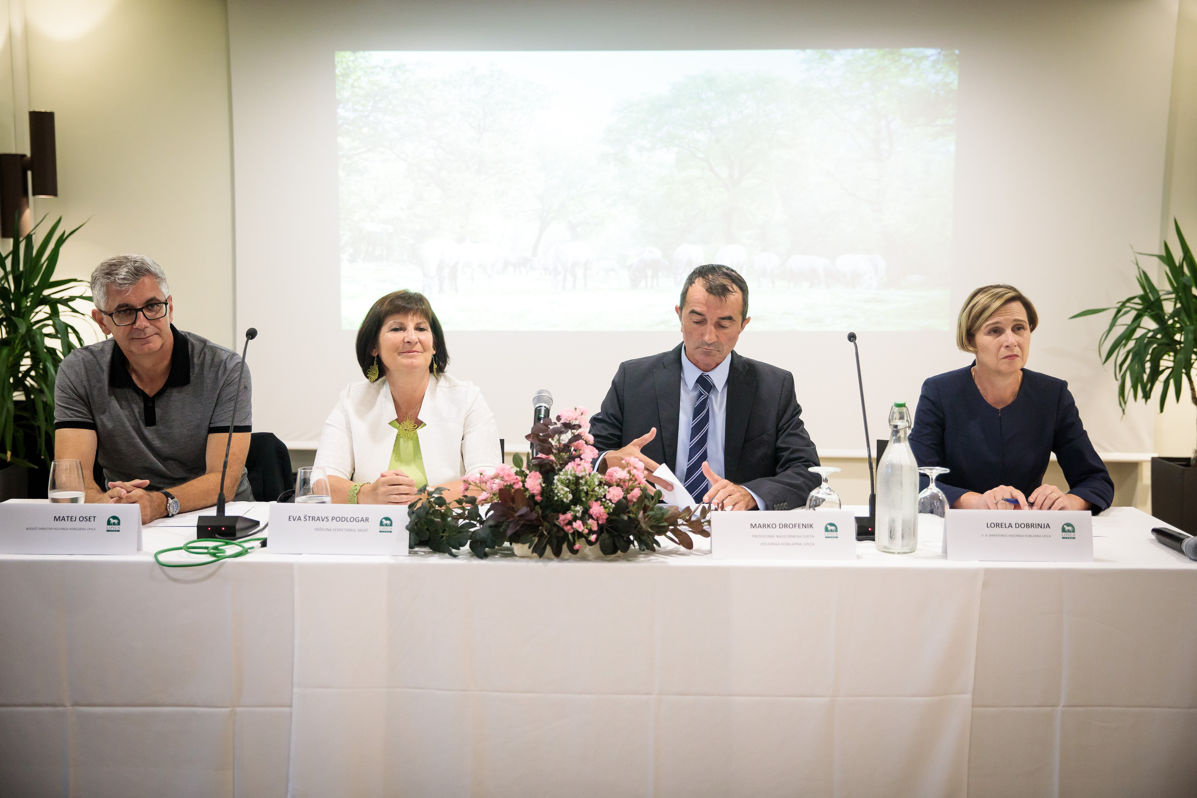 Vodenje Holdinga Kobilarna Lipica bo 3. septembra prevzel direktor ...