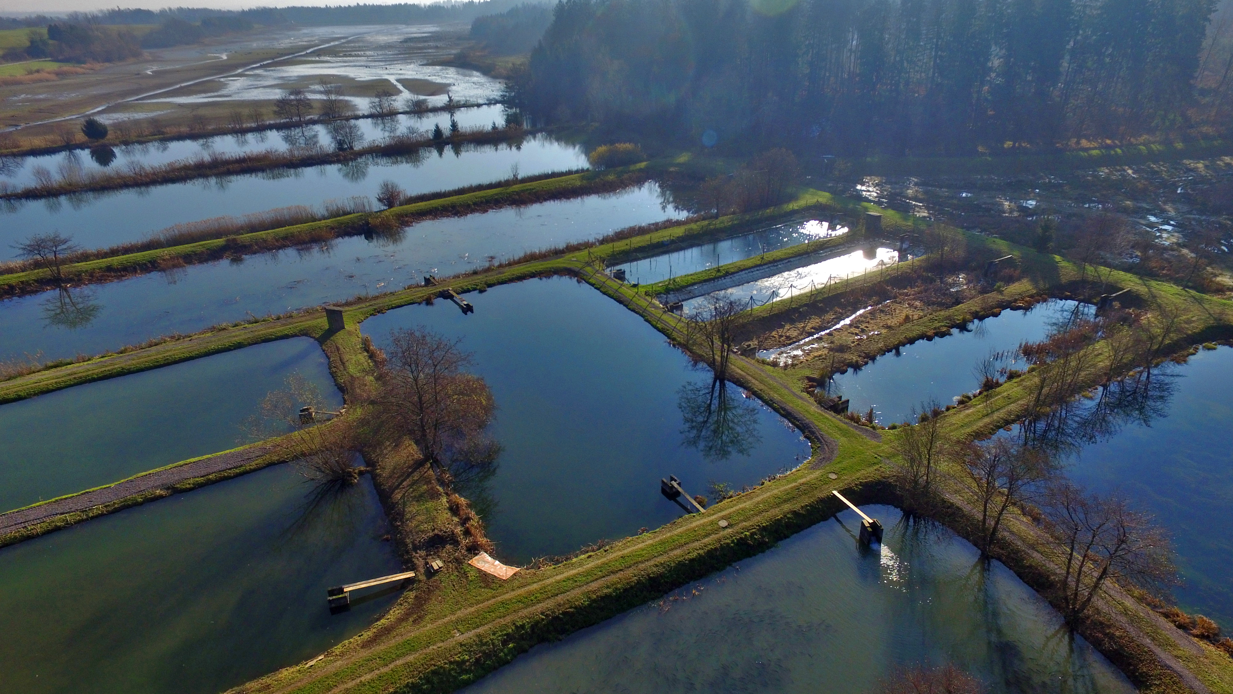 Za ukrep »akvakultura, ki zagotavlja okoljske storitve« namenjenih 60. ...