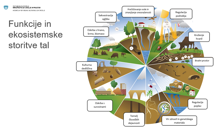 Tla so bistven del okolja, ne prezrimo ga | GOV.SI