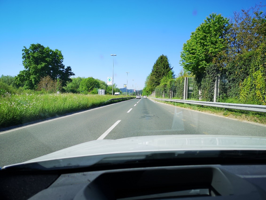 Cvetoči cestni robovi | GOV.SI