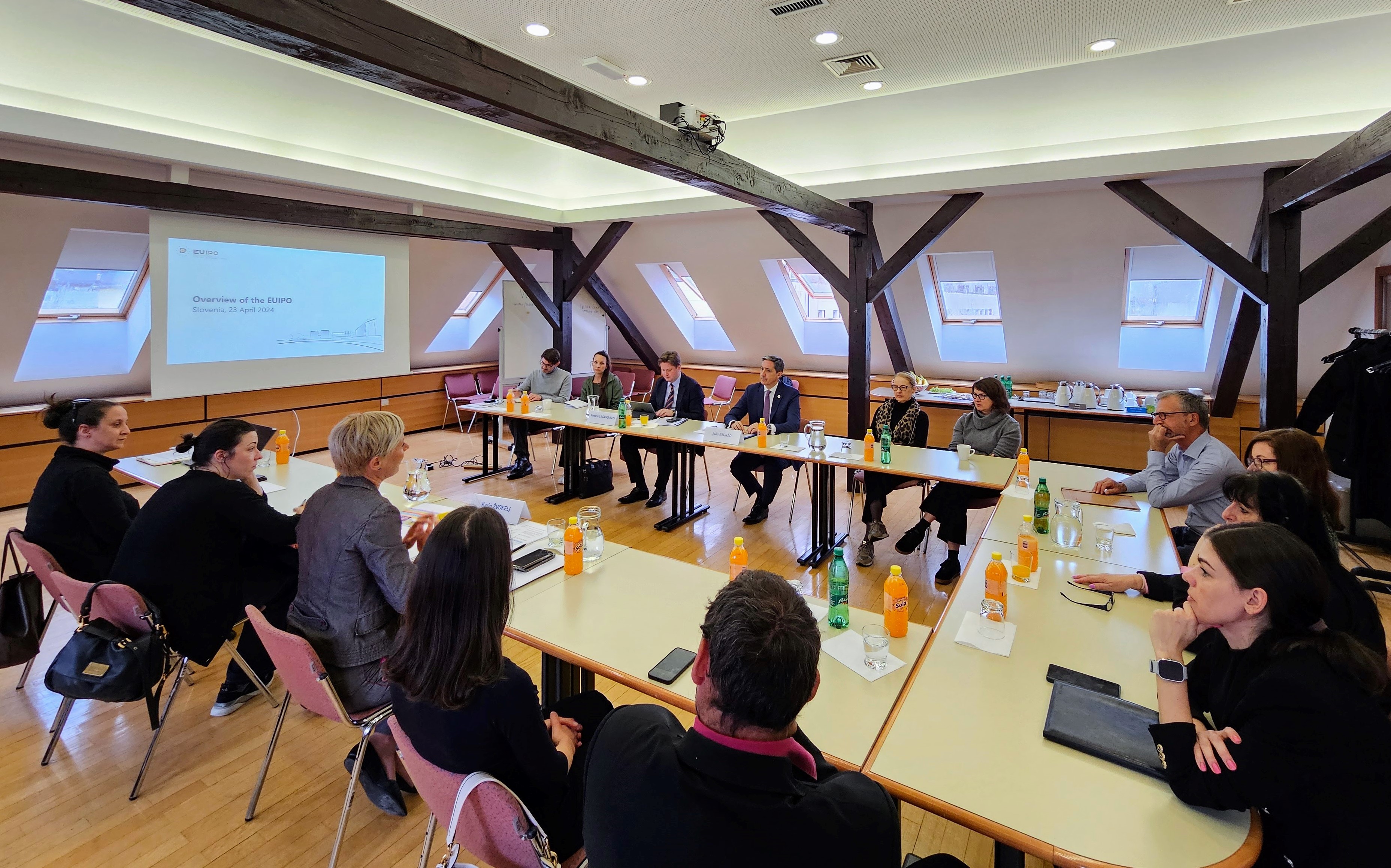 Meeting with EUIPO Executive Director Negrão to discuss Strategic Plan ...