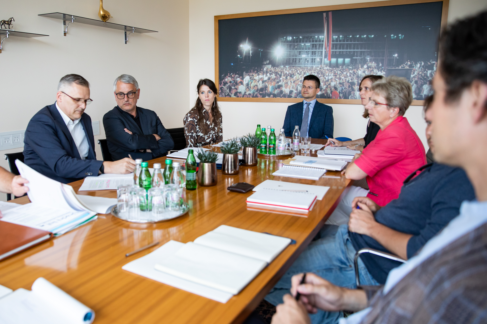Delovna skupina pri predsedniku vlade za blaženje energetske in ...