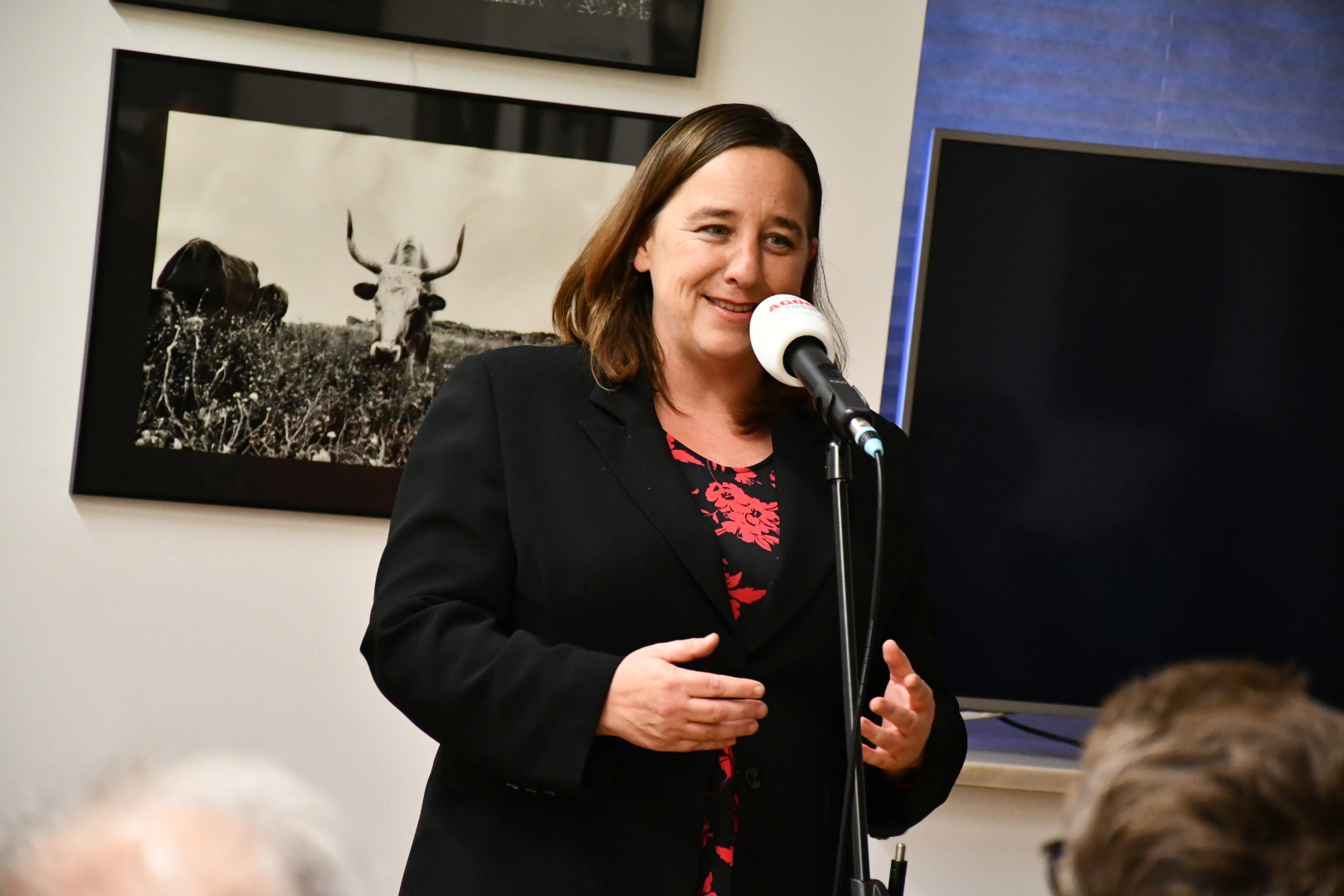 Državna sekretarka Humar na 95-letnici Kluba koroških Slovencev v ...